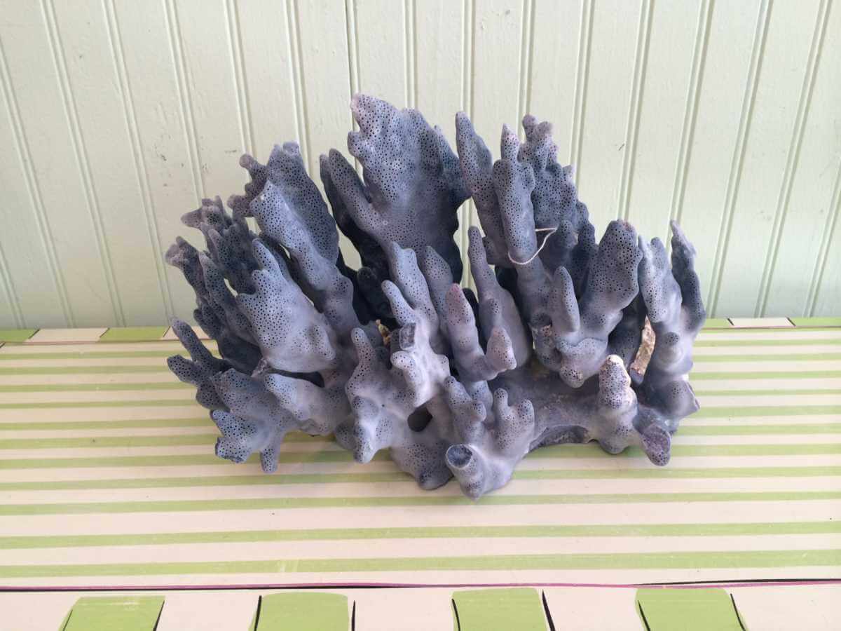 Blue Mussel | Coastal Gifts, Home Decor & Beach Style – The Blue Mussel